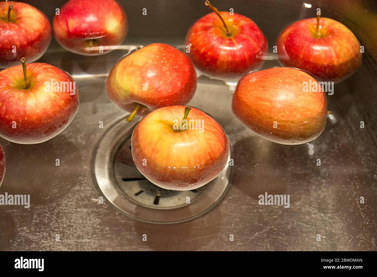 Gala apples floating in kitchen sink filled with water. Washing fresh ...