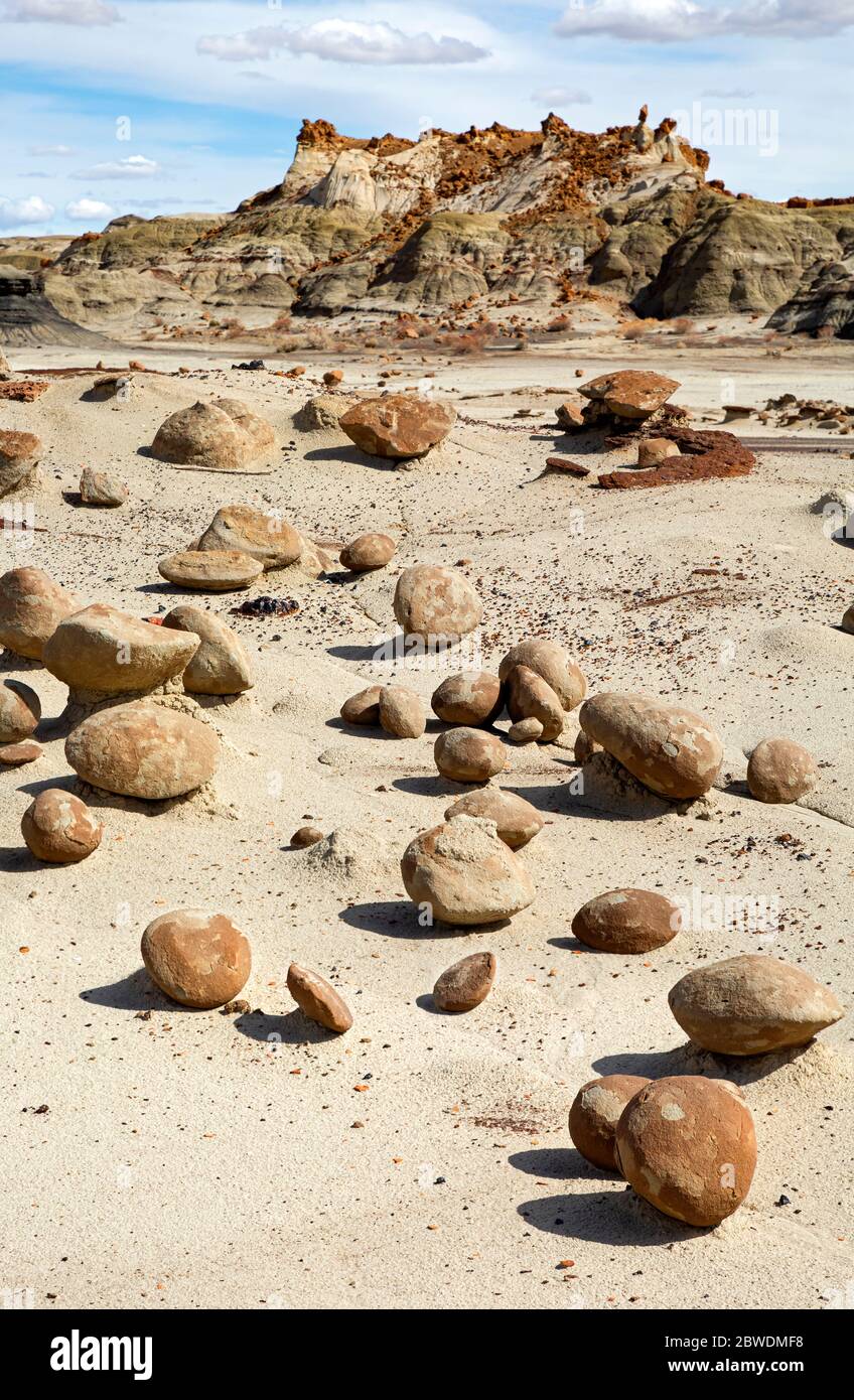 NM00310-03...NEW MEXICO - Rounded rocks scattered across an empty plain ...