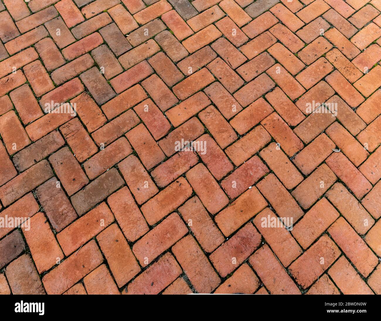 Red Pavers Heringbone