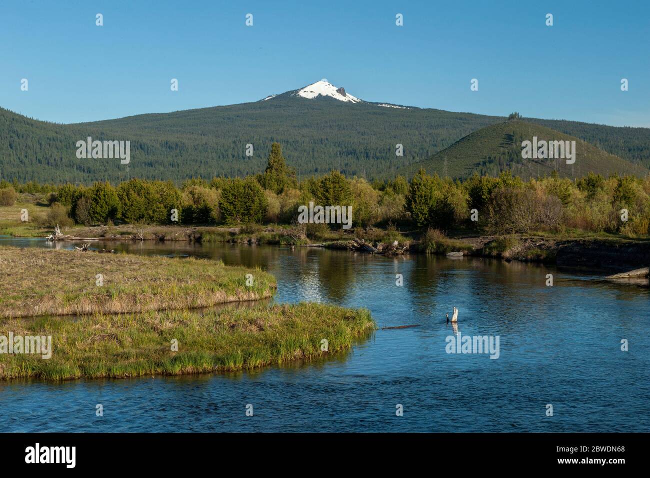 The morning view at the East Davis Lake campground in the Deschutes ...