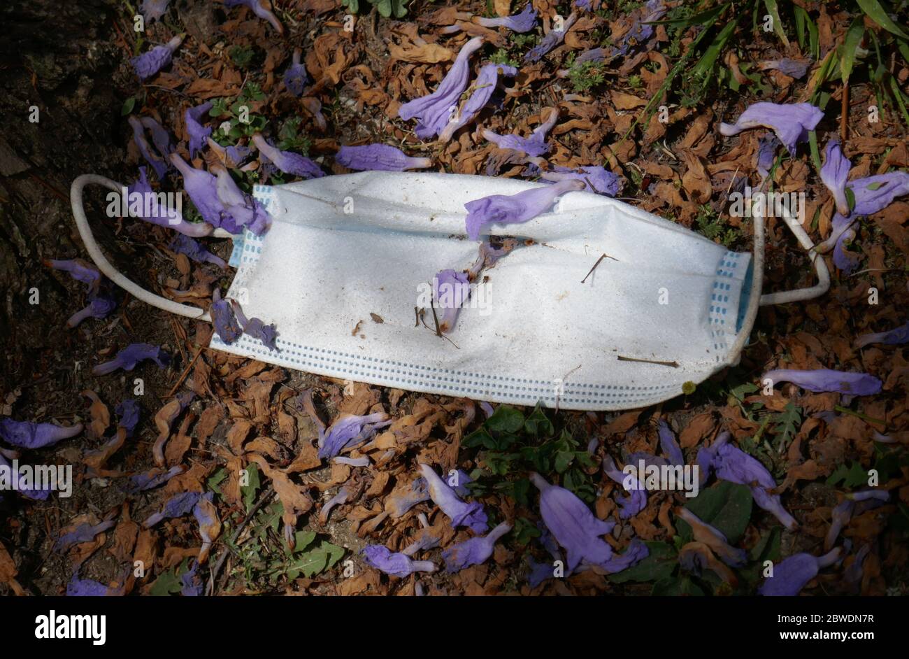 West Hollywood, California, USA 31st May 2020 A general view of ...
