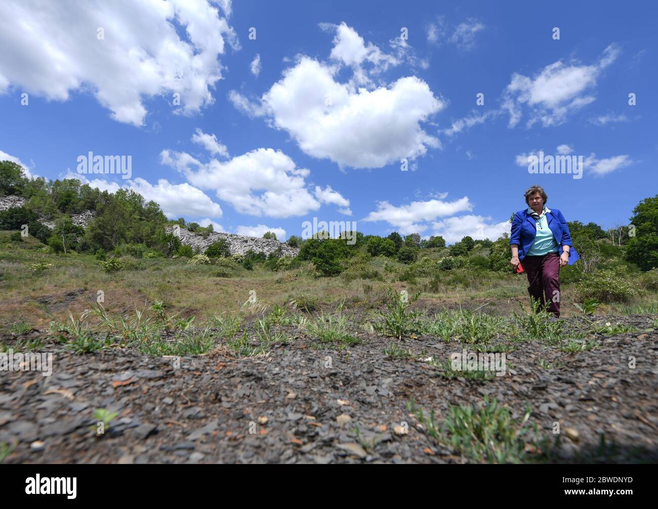 Messel pit fossils hi-res stock photography and images - Alamy
