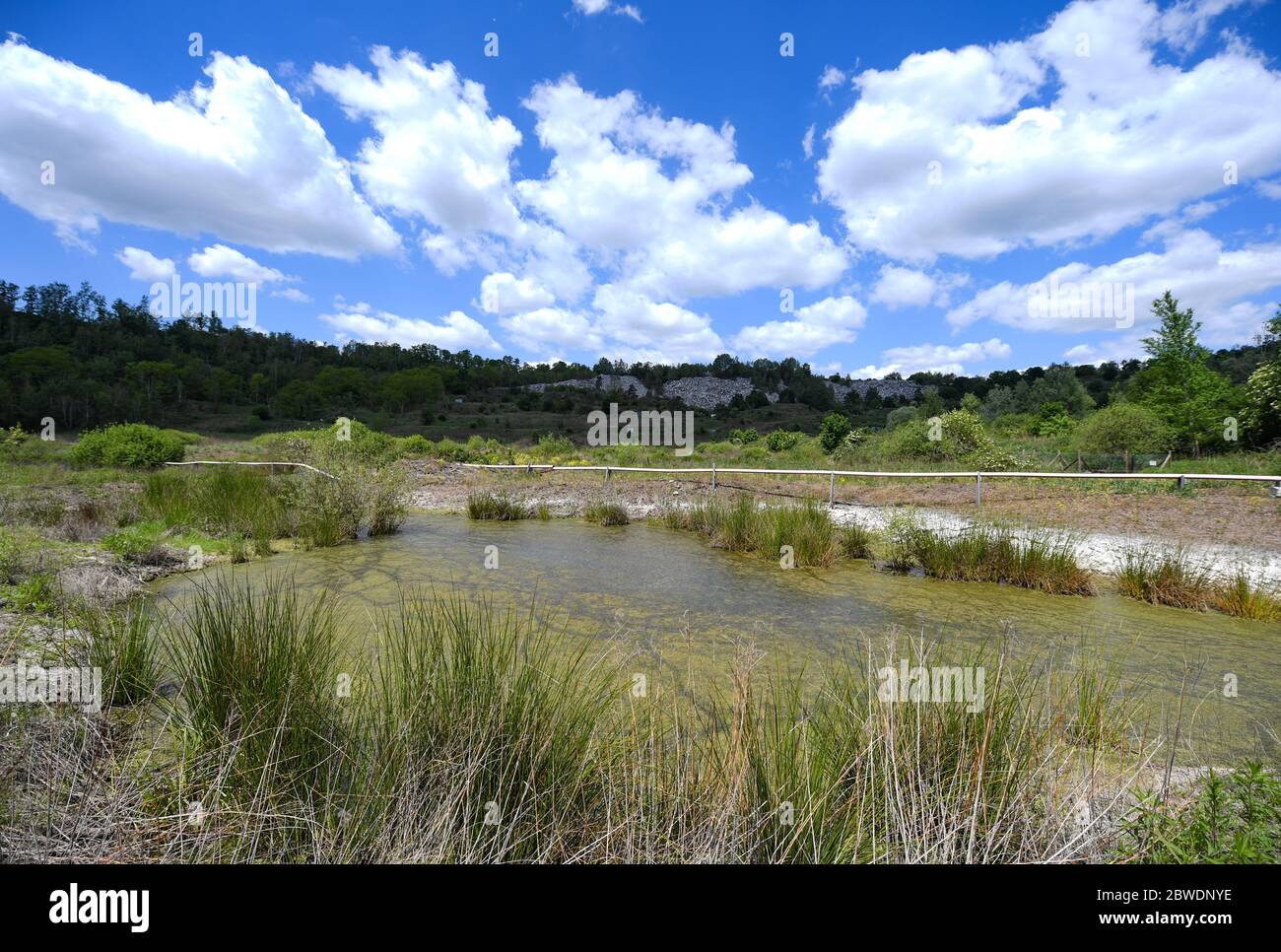 The messel pit hi-res stock photography and images - Alamy