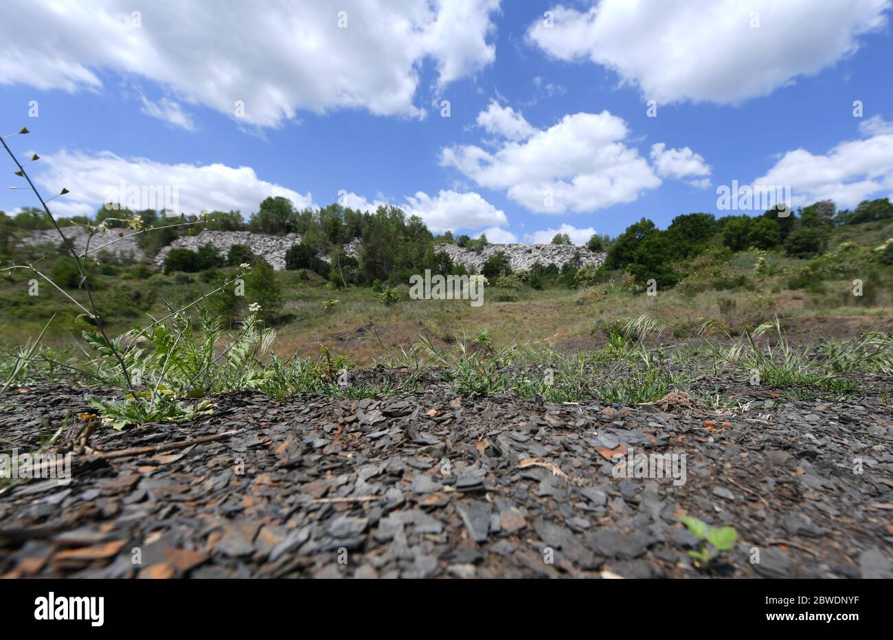 Messel pit fossil site hi-res stock photography and images - Alamy