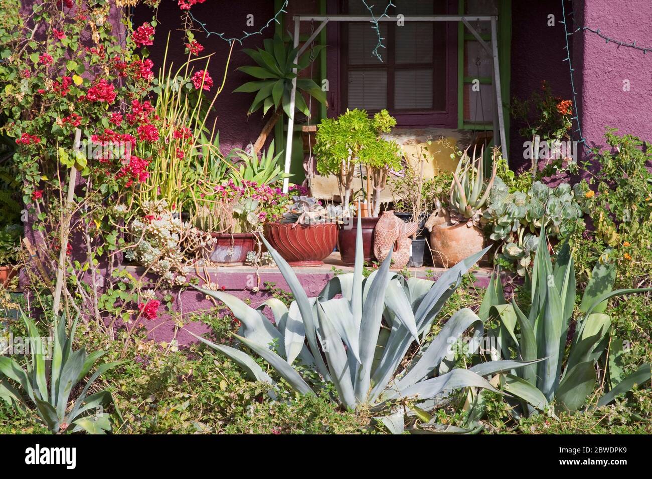 Garden, El Presidio Historic District, Tucson, Arizona, USA Stock Photo ...