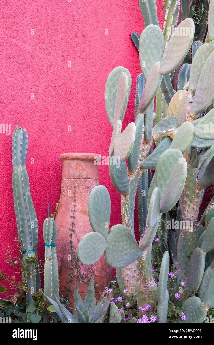 House Detail, El Presidio Historic District, Tucson, Arizona, USA Stock ...
