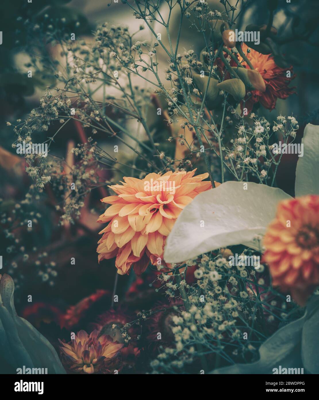 Vintage Flowers Tumblr Background Rose Watercolor Pattern Design