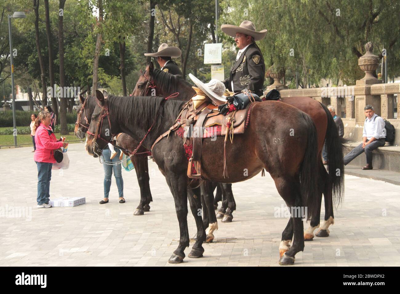 Mexican police hi-res stock photography and images - Alamy