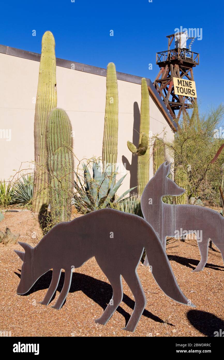 Asarco Mineral Discovery Center & Mine, Sahuarita, Greater Tucson ...