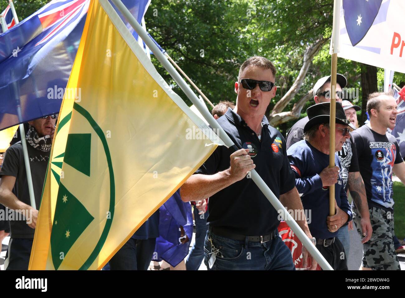 Shortis group hi-res stock photography and images - Alamy