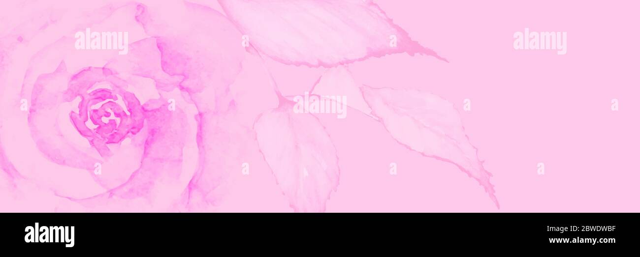 Watercolor valentine design with pink rose and leaves. Horizontal pink ...