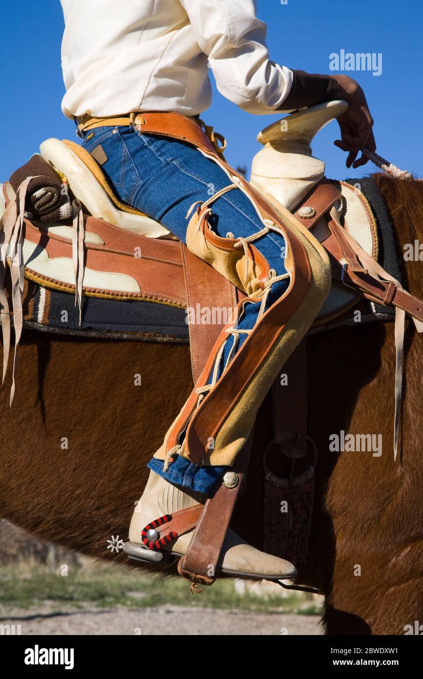 Tucson Rodeo Parade, Tucson, Arizona,USA Stock Photo - Alamy