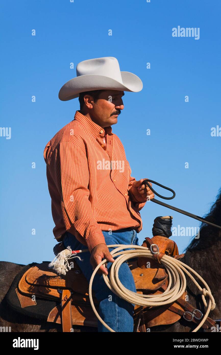 Tucson Rodeo Parade, Tucson, Arizona,USA Stock Photo - Alamy