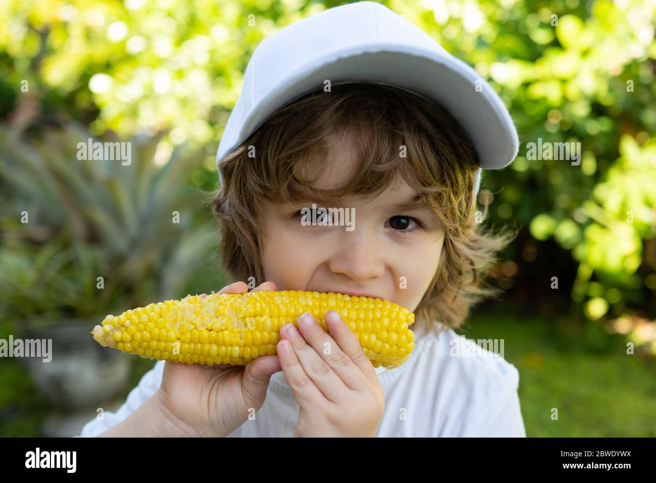 Child in the garden, corn - lovely boy eating corn on the cob in the ...