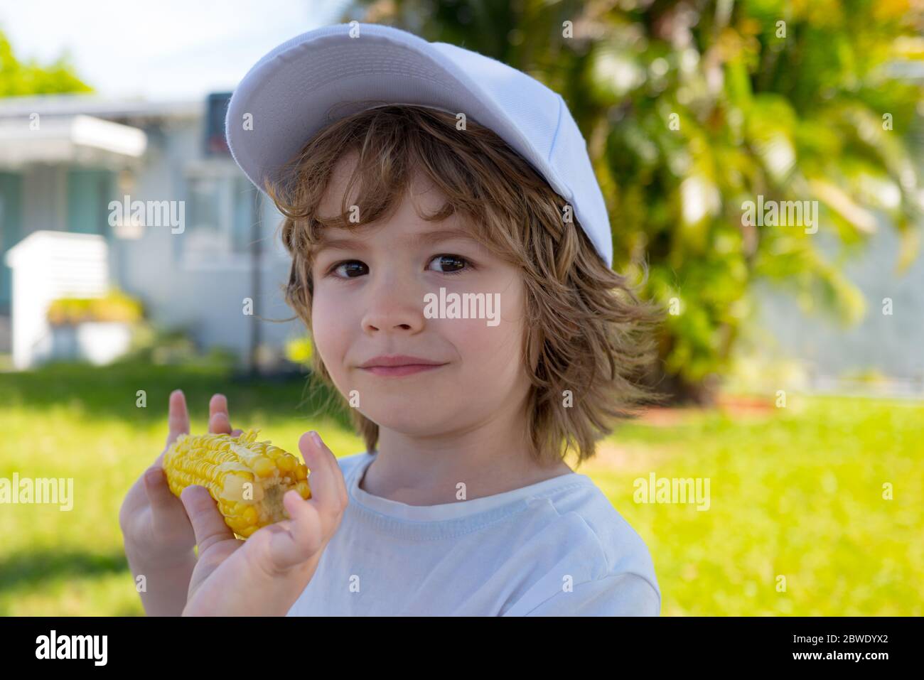 Little boy in hat eat corn on the cob in the garden. Farming and autumn ...