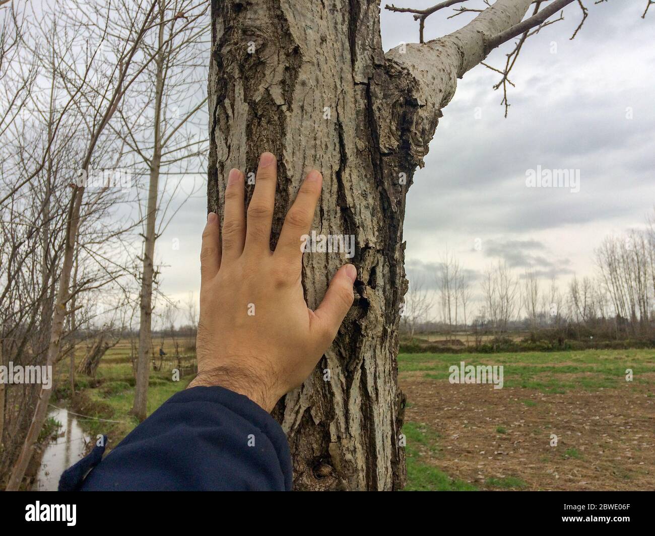 Hand touching tree trunk. Keeping touch nature. Human hand touching the ...