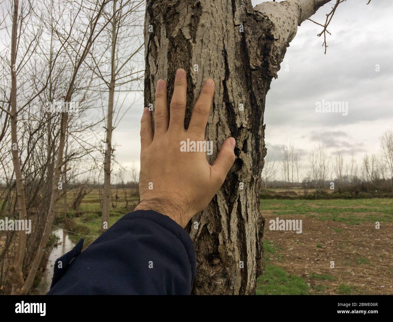 Loving nature. Hand touching tree trunk. Keeping touch nature. Human ...