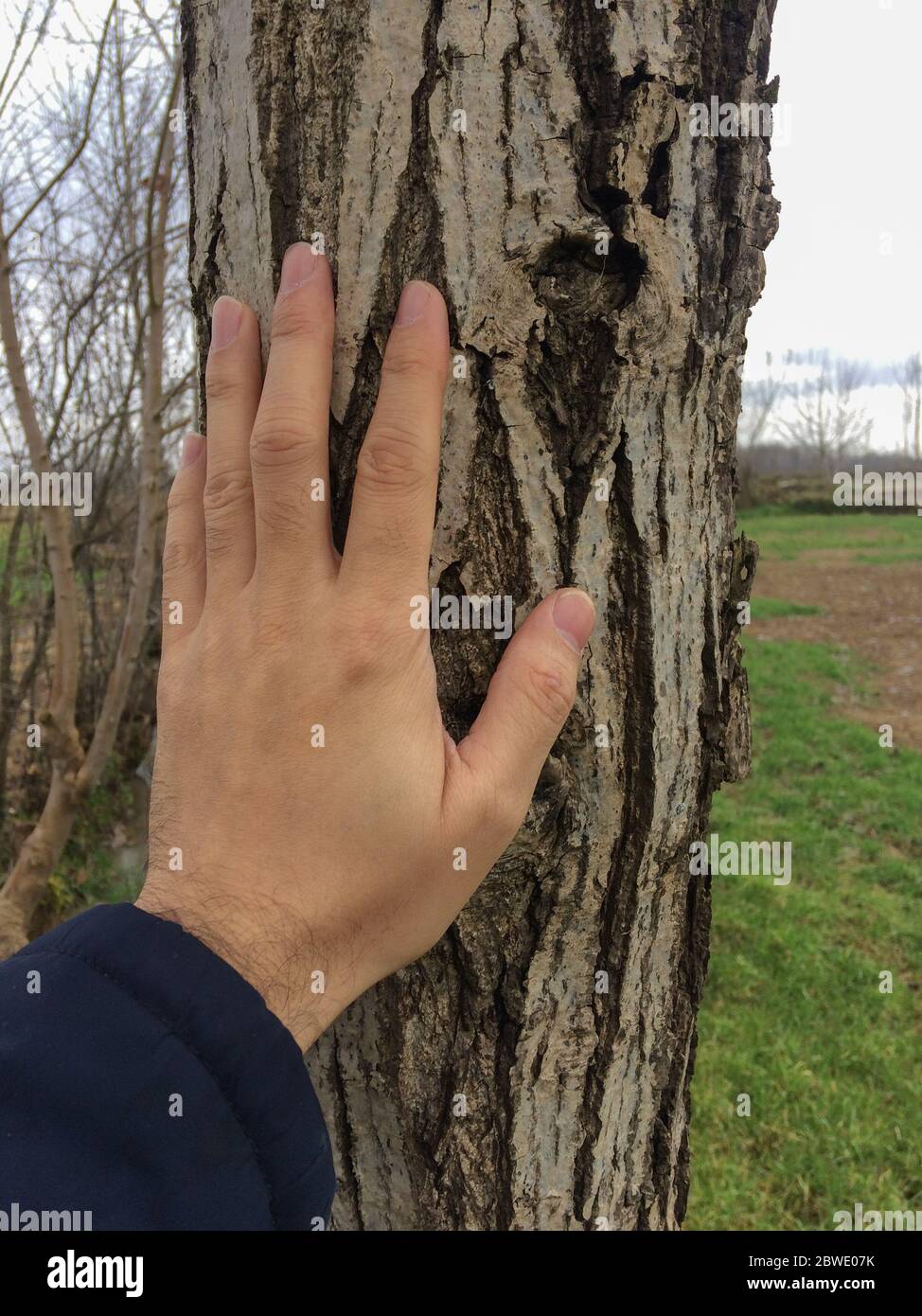 Hand touching tree trunk. Keeping touch nature. Human hand touching the ...
