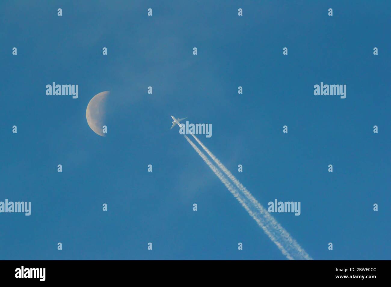 Shutterstock top 50 images hi-res stock photography and images - Alamy