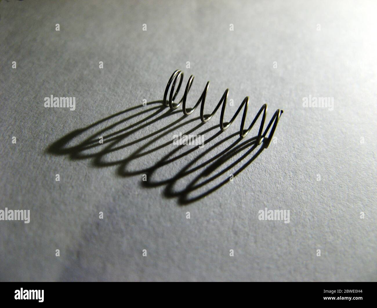 One metal Springs on white background Stock Photo - Alamy