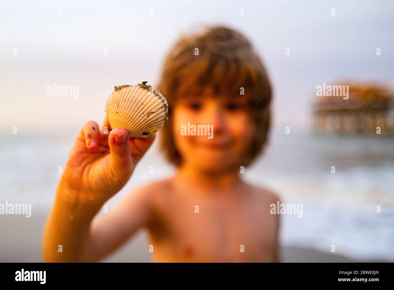 Shells at little kid hands. Child exploring nature. Cute, happy child ...