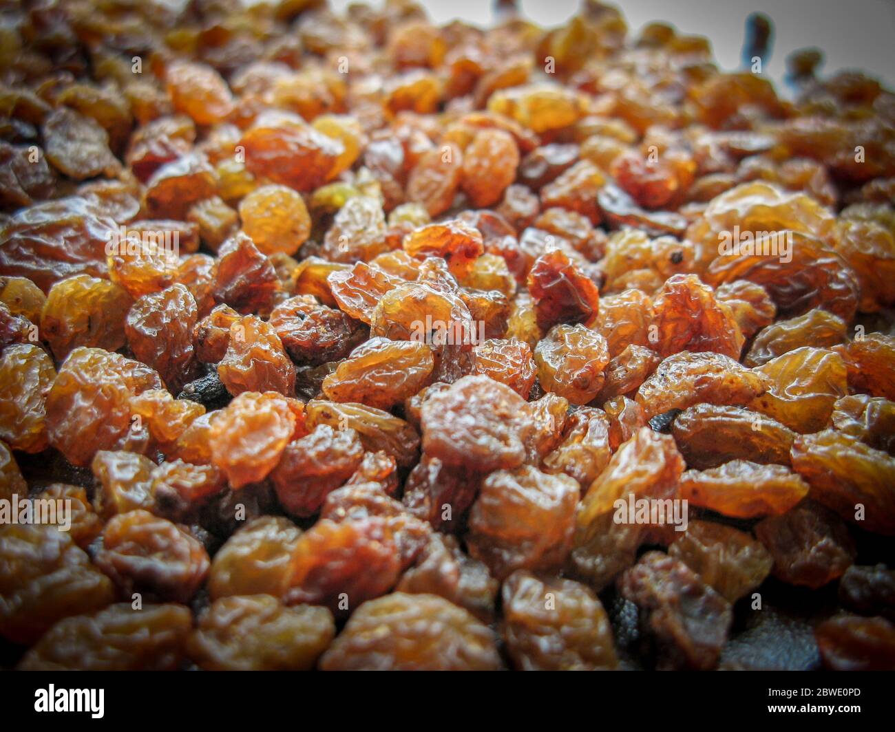 Brown raisins seamless background. Grape Raisin texture. Raisin dry ...