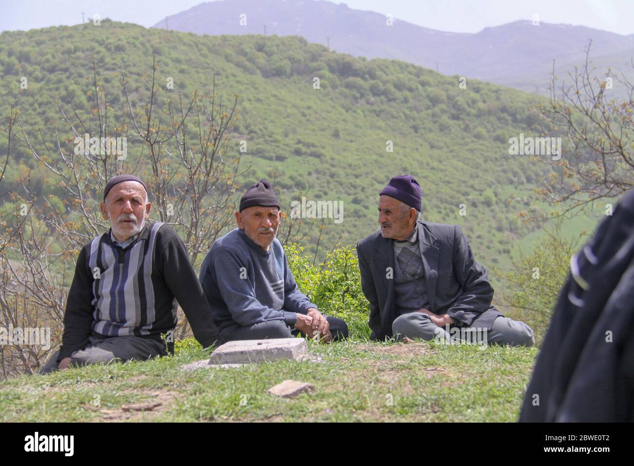 A few rural old men sit on the grass. Trees, mountains and forest are ...