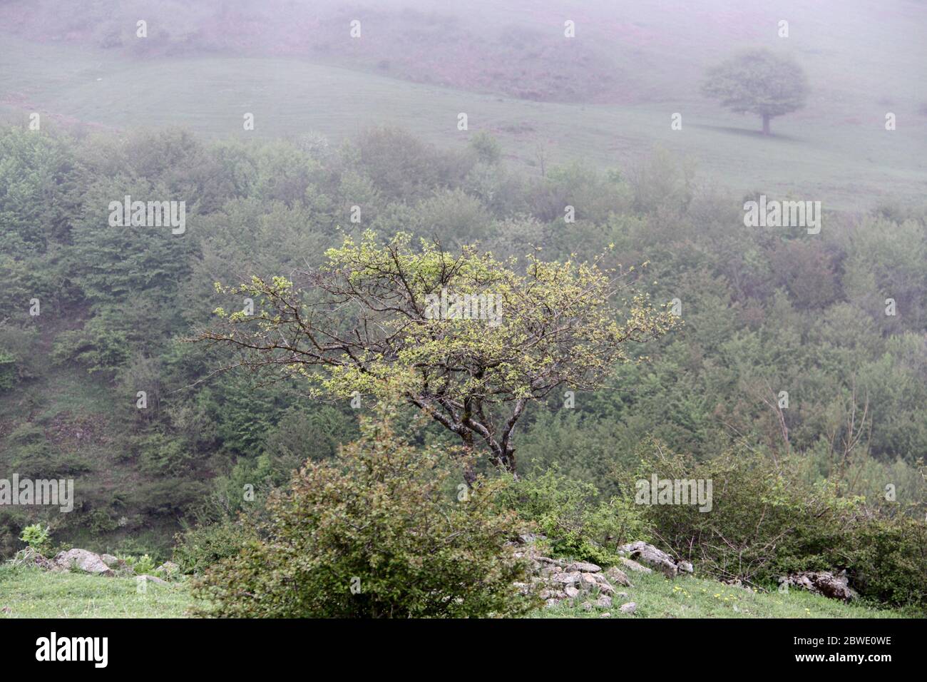 A beautiful view of nature in Iran, Gilan Stock Photo - Alamy