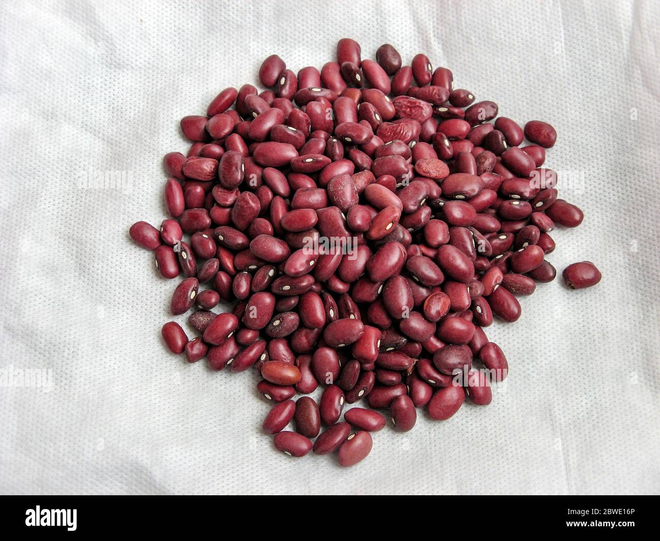 Closeup of a grain of red bean seeds. The texture of the legumes. Close ...