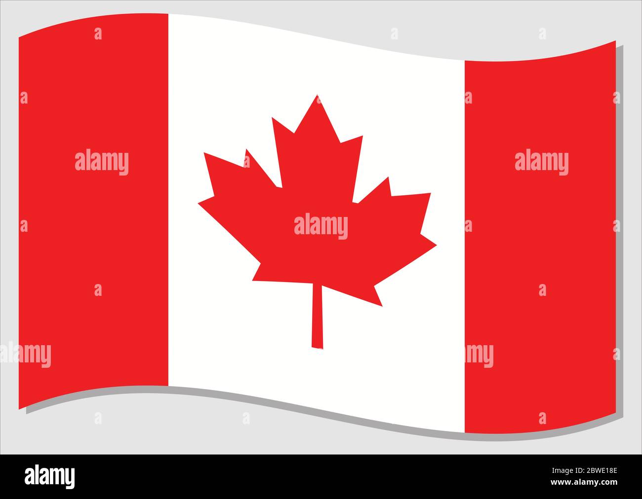 Waving flag of Canada vector graphic. Waving Canadian flag illustration ...