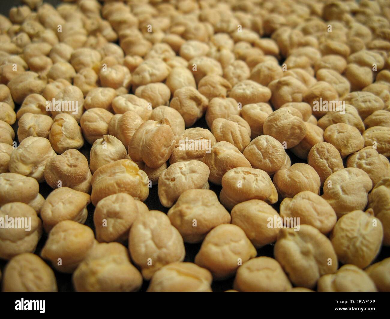 Close up of dried cheakpea beans (Cicer arietinum). Cheakpea beans ...
