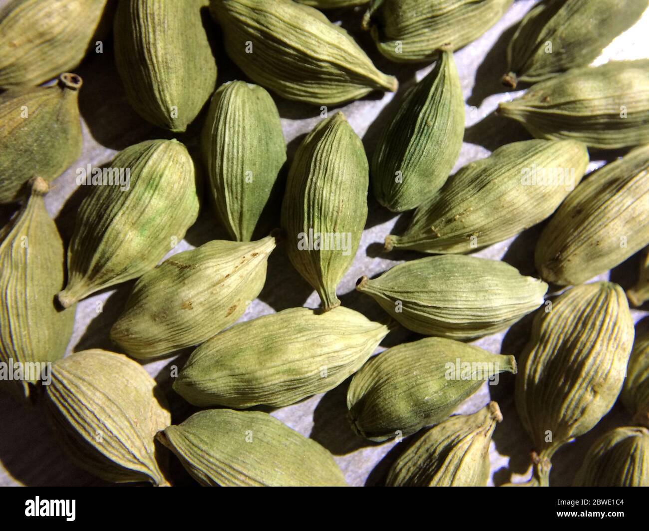 Cardamom Pods Size