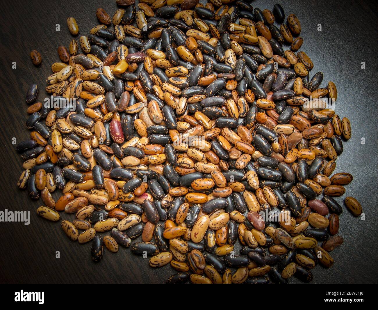 Short leg hi-res stock photography and images - Alamy