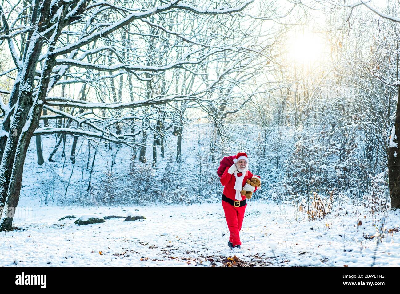 Winter park trees covered with snow. Father Christmas brings gifts to ...