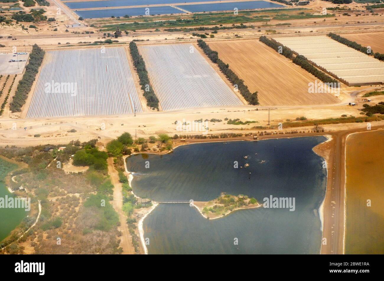 Israeli agriculture hi-res stock photography and images - Alamy