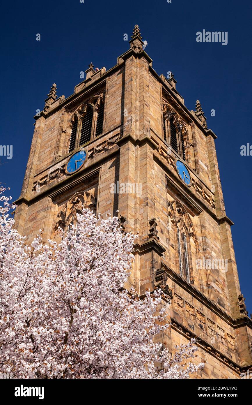Saint Marys parish church Mold with spring blossom Stock Photo - Alamy