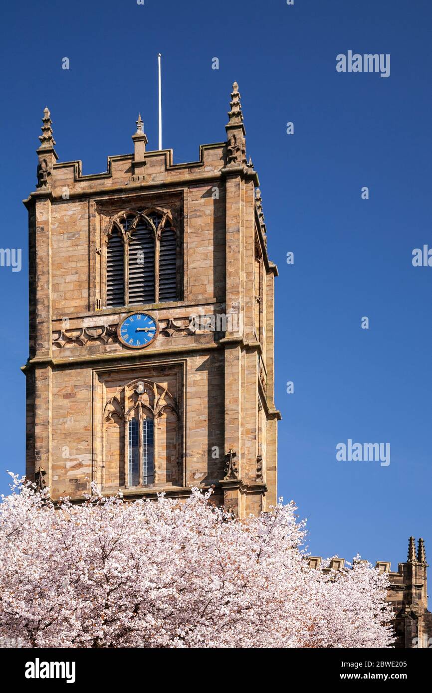 Saint Marys parish church Mold with spring blossom Stock Photo - Alamy