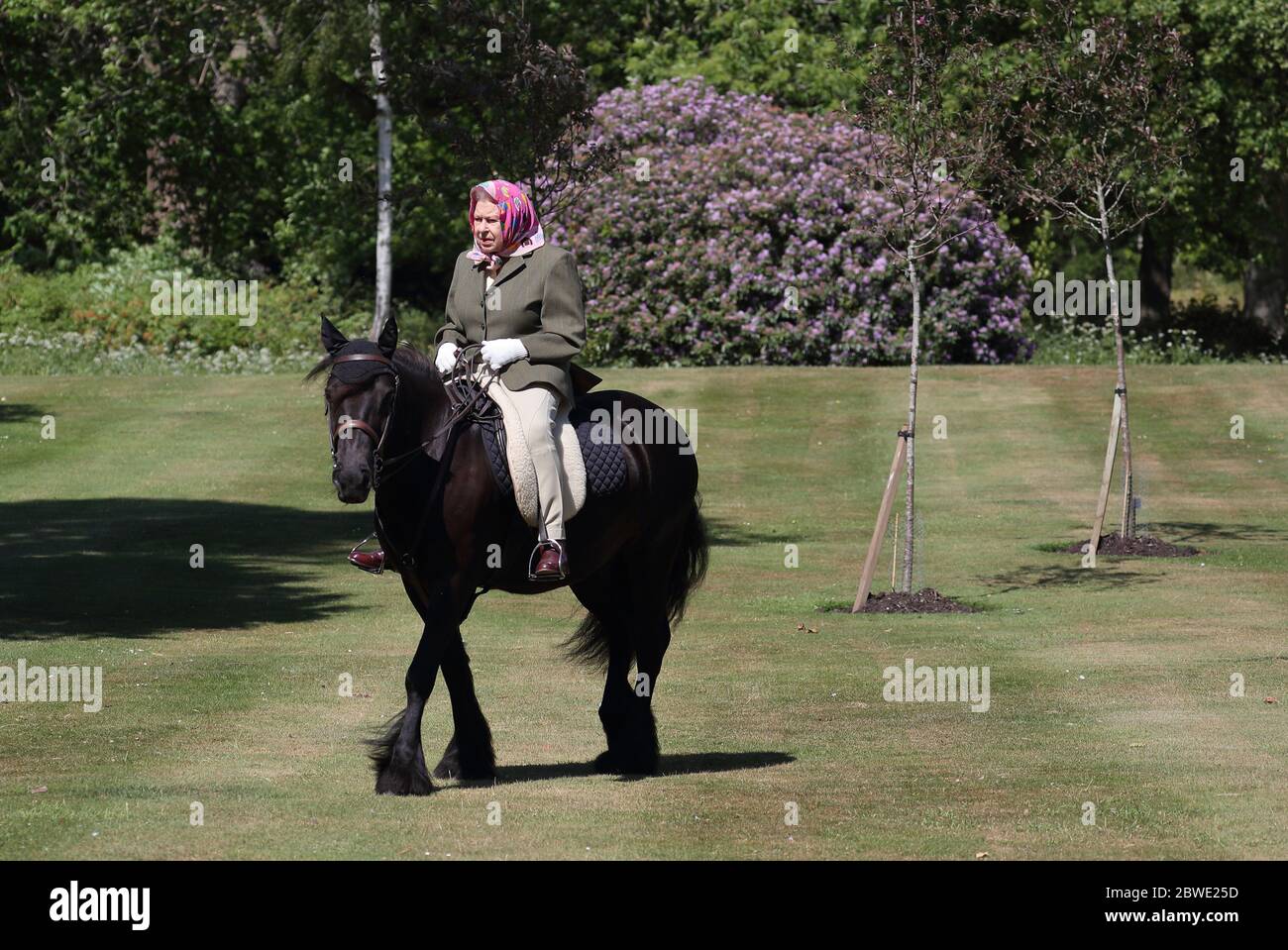 Queen Elizabeth II rides Balmoral Fern, a 14-year-old Fell Pony, in ...