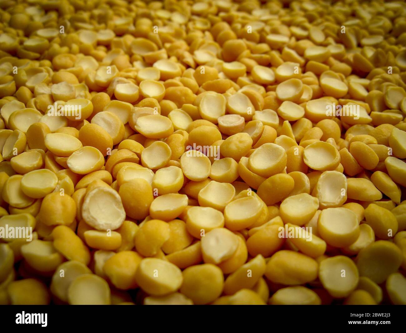 Close up of yellow split dried peas. Yellow split dried peas pattern as ...