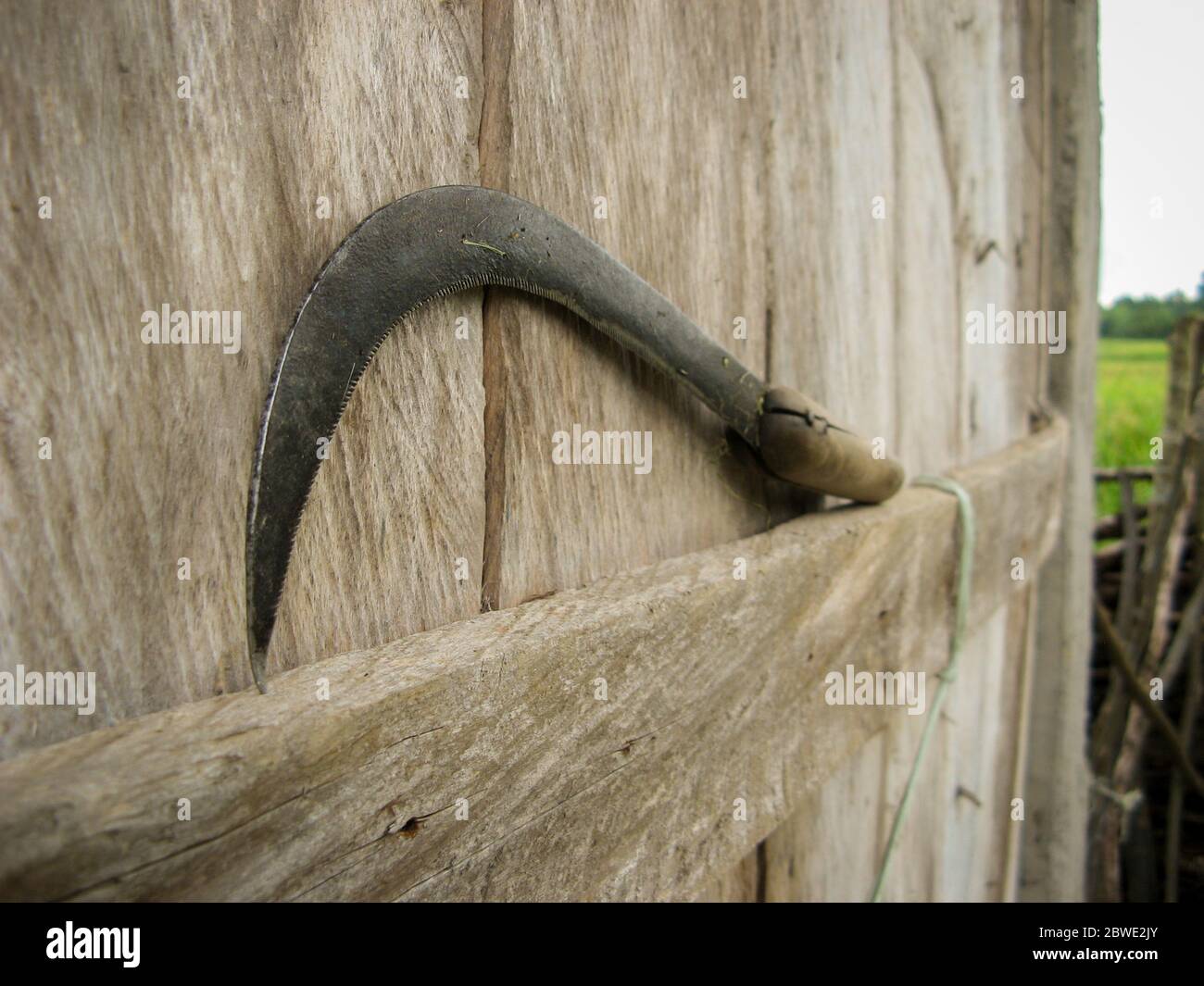 A sickle on wooden background after using for harvesting cereals. Close ...