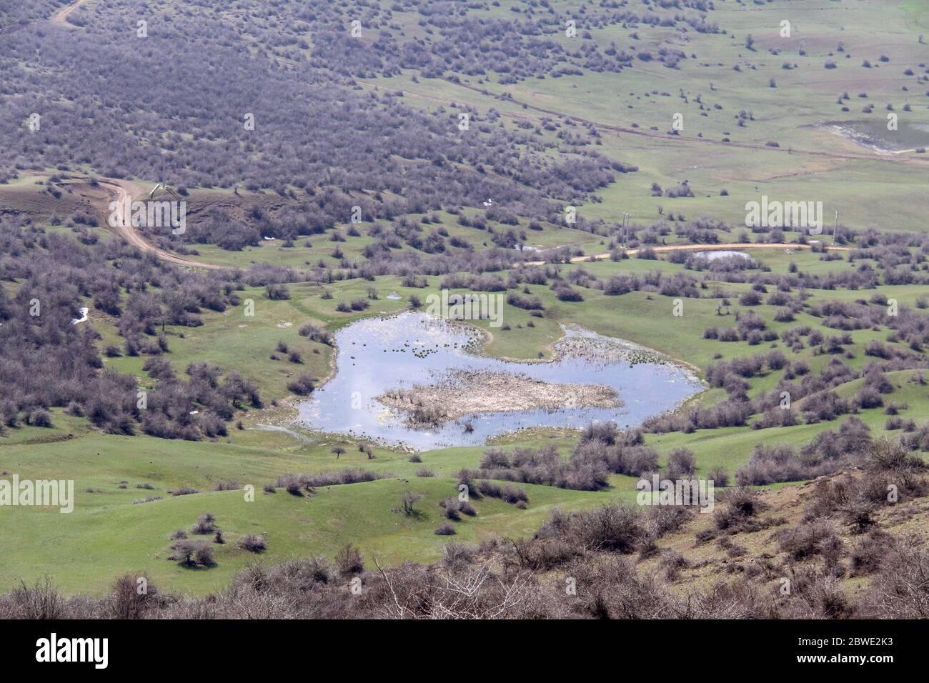 Gilan forest hi-res stock photography and images - Alamy