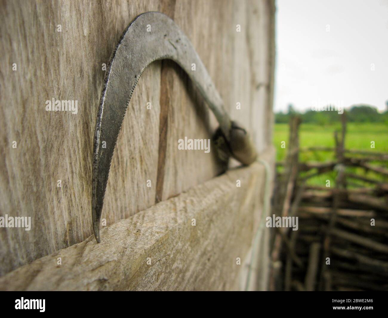 A sickle on wooden background after using for harvesting cereals. Close ...