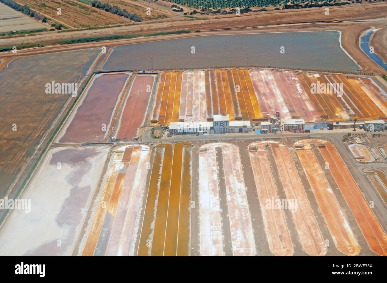 Algae production hi-res stock photography and images - Alamy