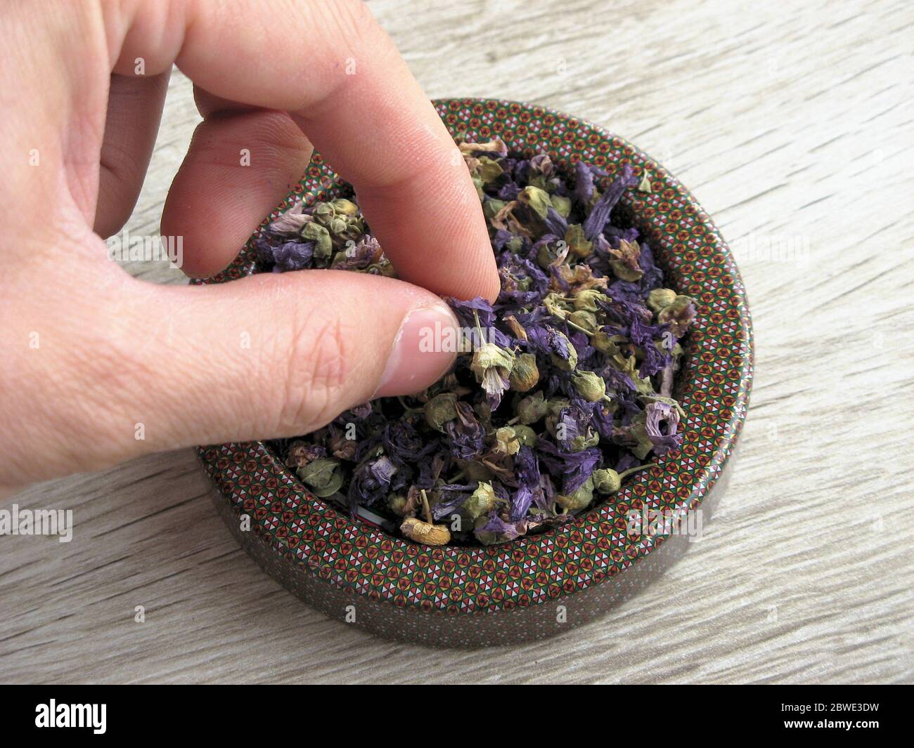 Dried mallow (Mallow Silvestrys) flower on table. Well known for ...