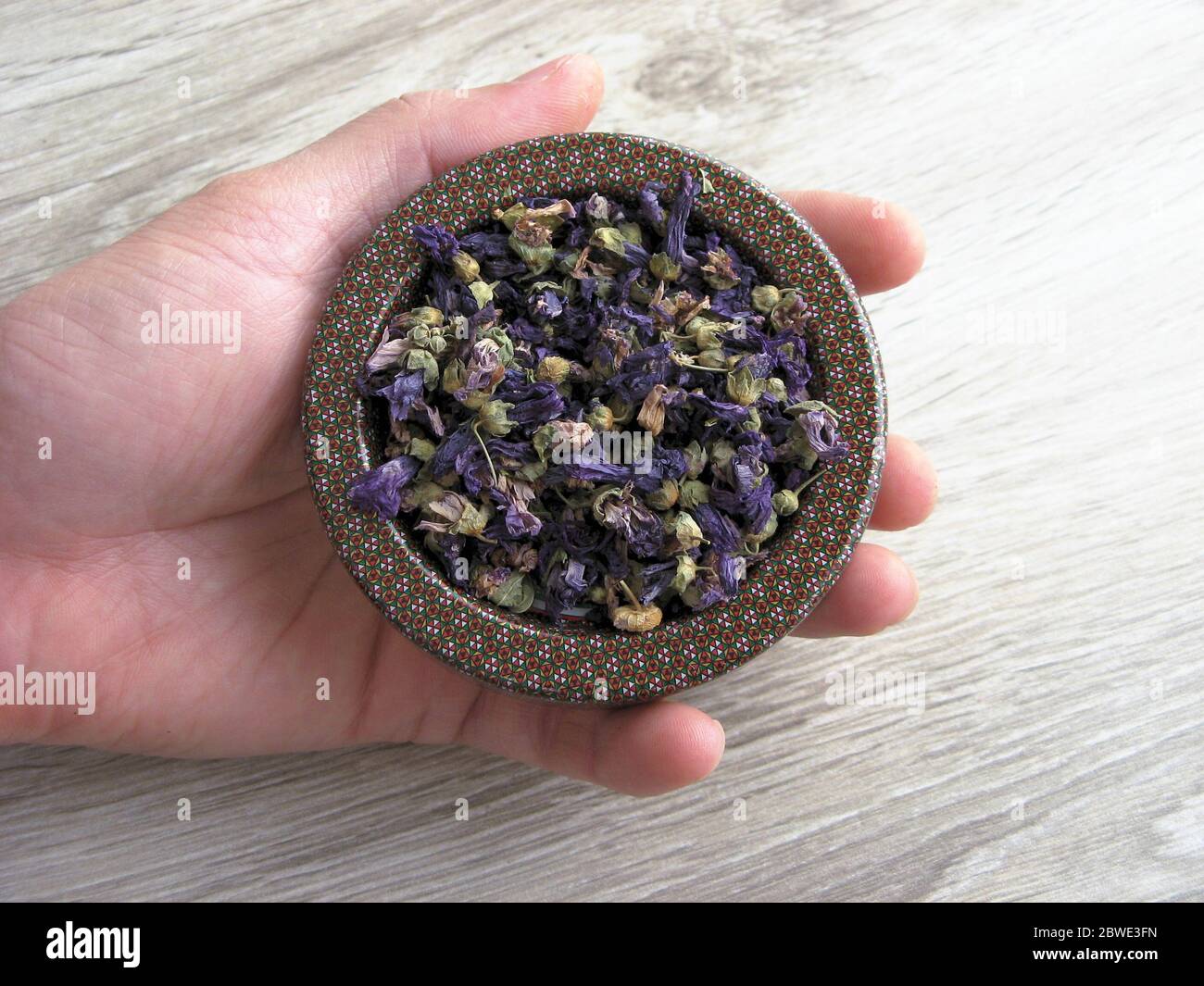 Mallow flowers used in alternative medicine and potions in dish. Herb ...