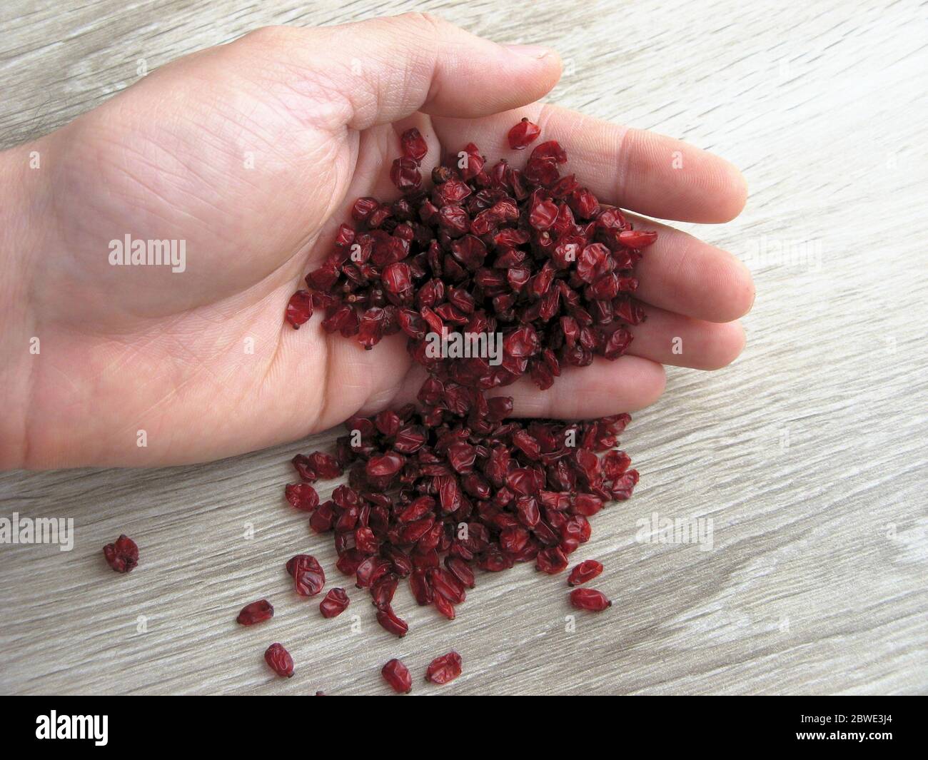 Dry red barberry in hand on wooden background. Full of B and C vitamin ...