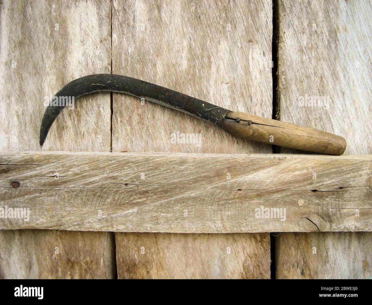 Sickle on wooden background. Sickle for the harvest of grain in asia ...