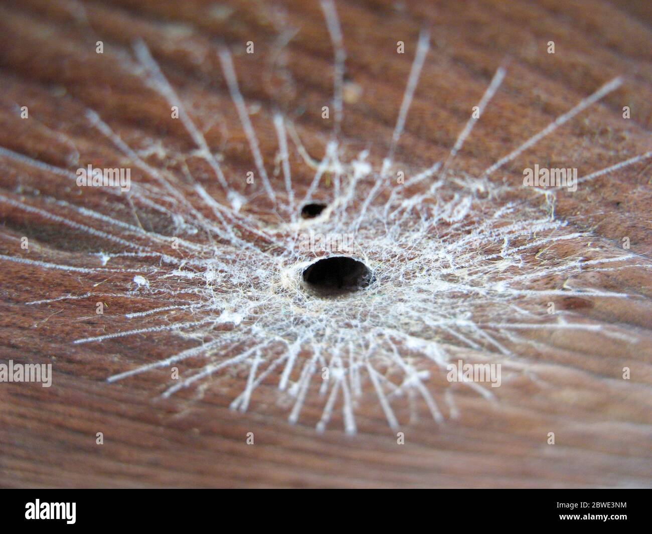 Ceiling cobweb hi-res stock photography and images - Alamy