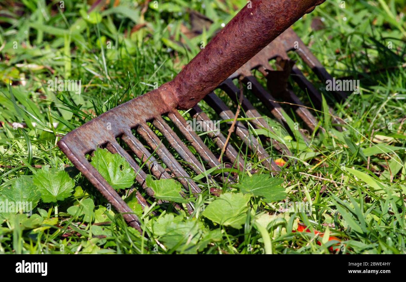 Ancient Rake High Resolution Stock Photography and Images - Alamy