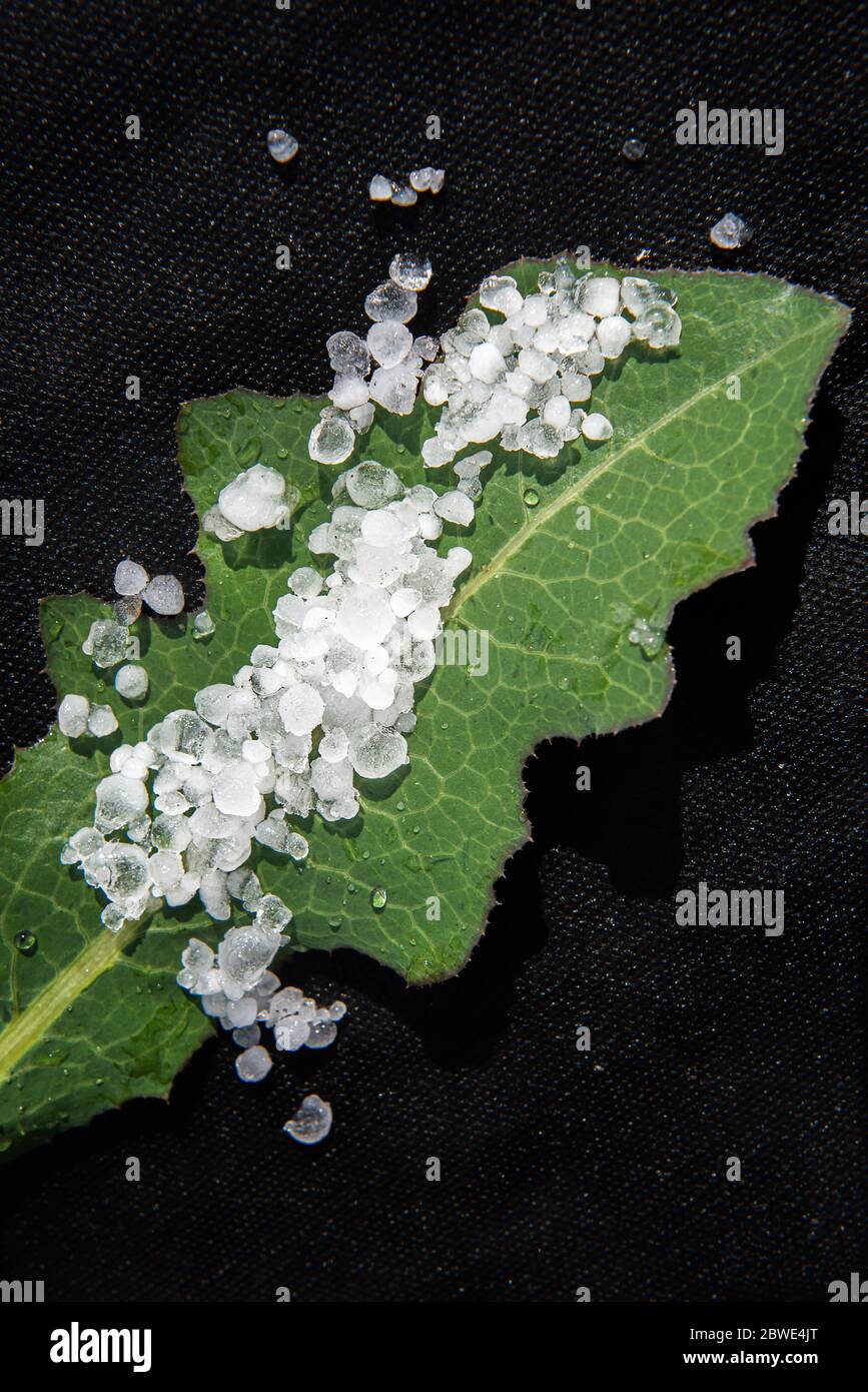 Closeup hail stones hi-res stock photography and images - Alamy